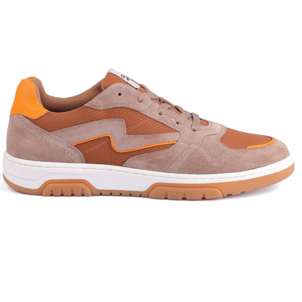 RAVIN-SIGNATURE DS-100 – Caldri Shop